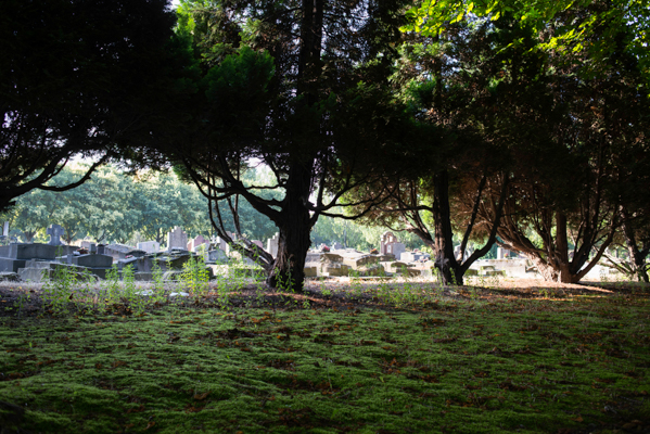 Cimetière parisien de Pantin - Ville de Paris Cimetière parisien de Pantin - Ville de Paris
